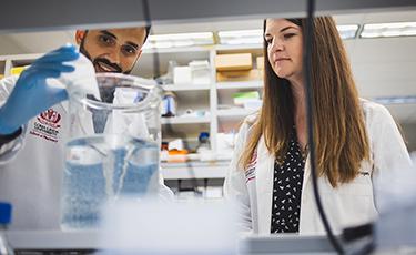 Research | School of Pharmacy